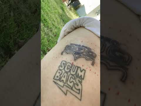 Svg pro🔴 tattoo the style