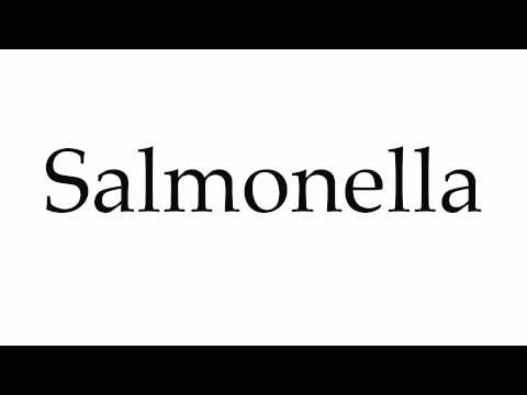 How to Pronounce Salmonella