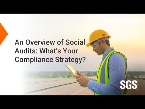 An Overview of Social Audits: What's Your Compliance Strategy?