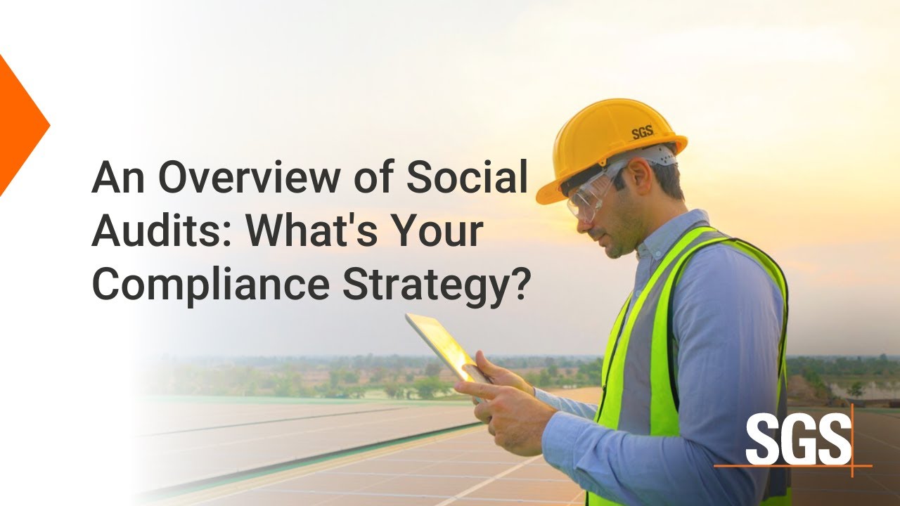 An Overview of Social Audits: What's Your Compliance Strategy?