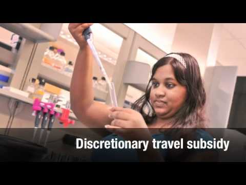 Research Experience for Undergraduates (REU) at Western Michigan University