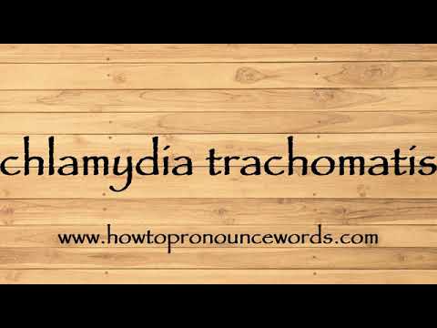 How To Pronounce chlamydia trachomatis