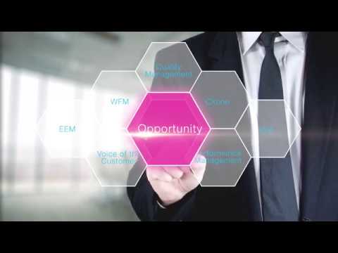 Become a NICE Business Partner