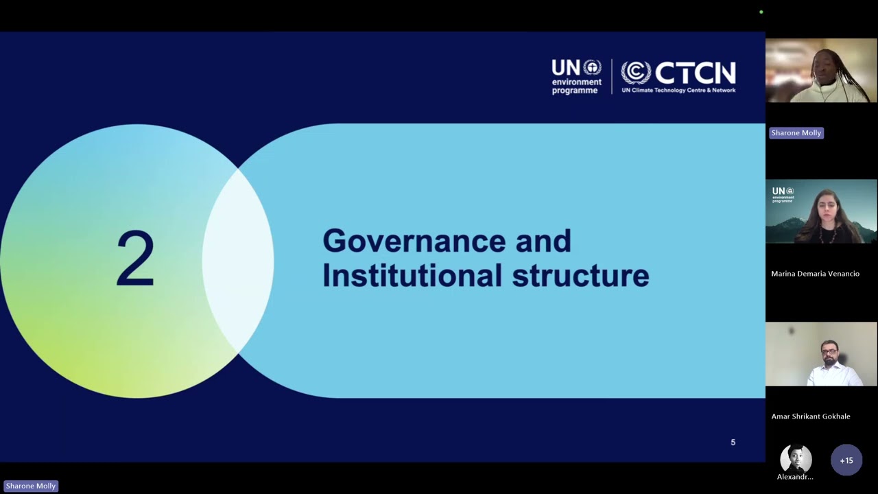 Webinar: Best Practices on Integrating Gender Equality & Social Inclusion in Energy & Climate Change