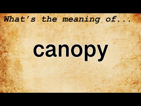 Canopy Meaning | Definition of Canopy