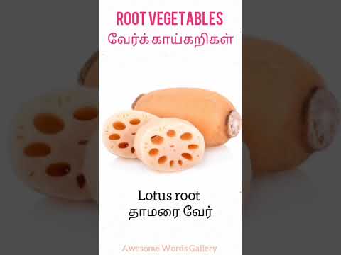 வேர்த்தாவரங்கள்:Root Vegetables vocabulary collections with Tamil meanings