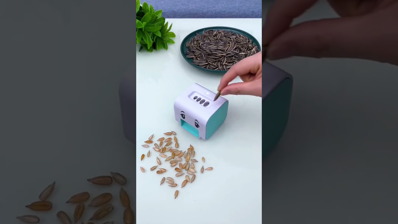 Peel Watermelon Seeds in Seconds with Our Automatic Seed Peeler #watermelonlover #seedpeeler