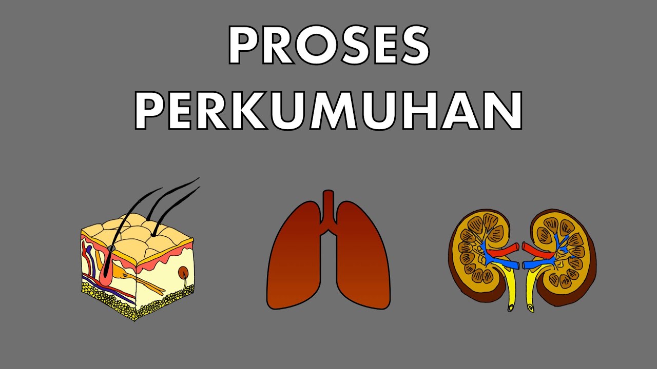 Sains Tahun 4: Perkumuhan #cikgooTube #CikguZoul