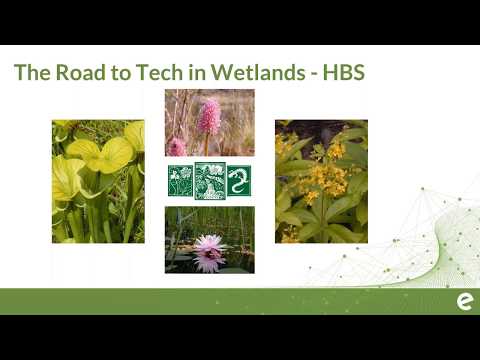April 2020 Webinar - Convergence of Wetland Science and Technology