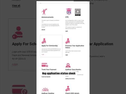 nsp application status check