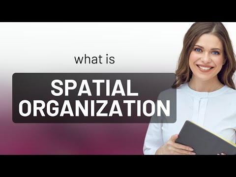 Unlocking the Secrets of Spatial Organization