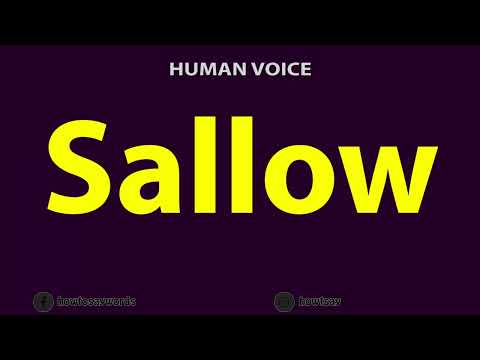How to Pronounce Sallow