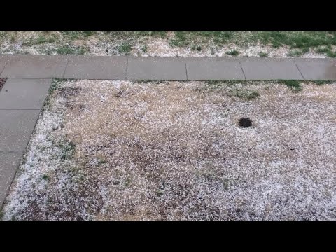 Hail in northern Colorado Springs