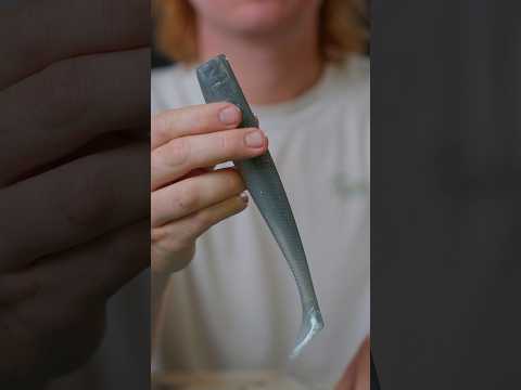 NLBN 8β Paddle Tail | How to Rig It