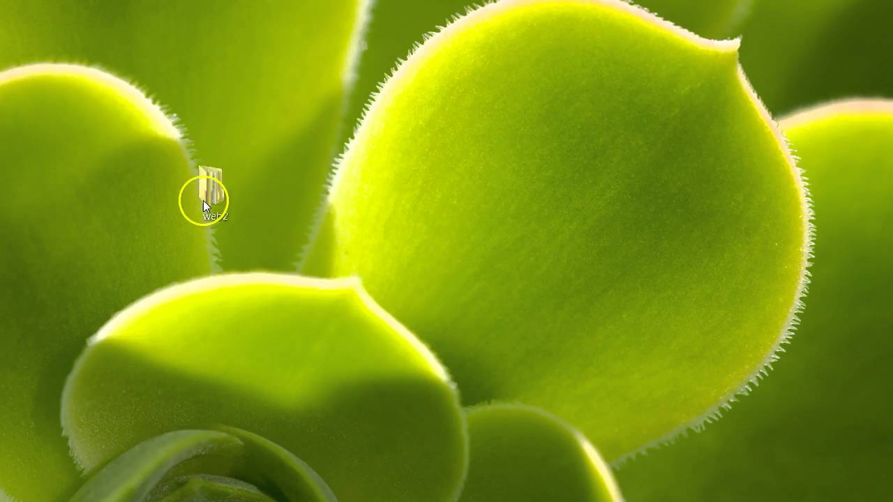 Save and publish your Web Design 2 files on github