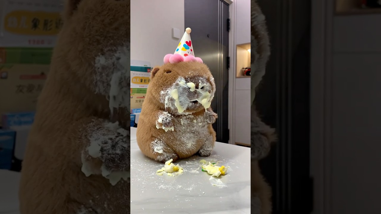 Look at you, you've got cake all over yourself! #happybirthday #capybara #cake #cute #funny #toys