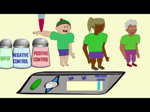 coronavirus antibody test