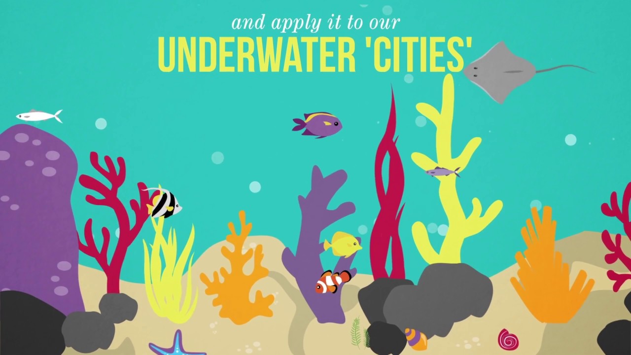 Resilient Reefs- Great Barrier Reef Foundation