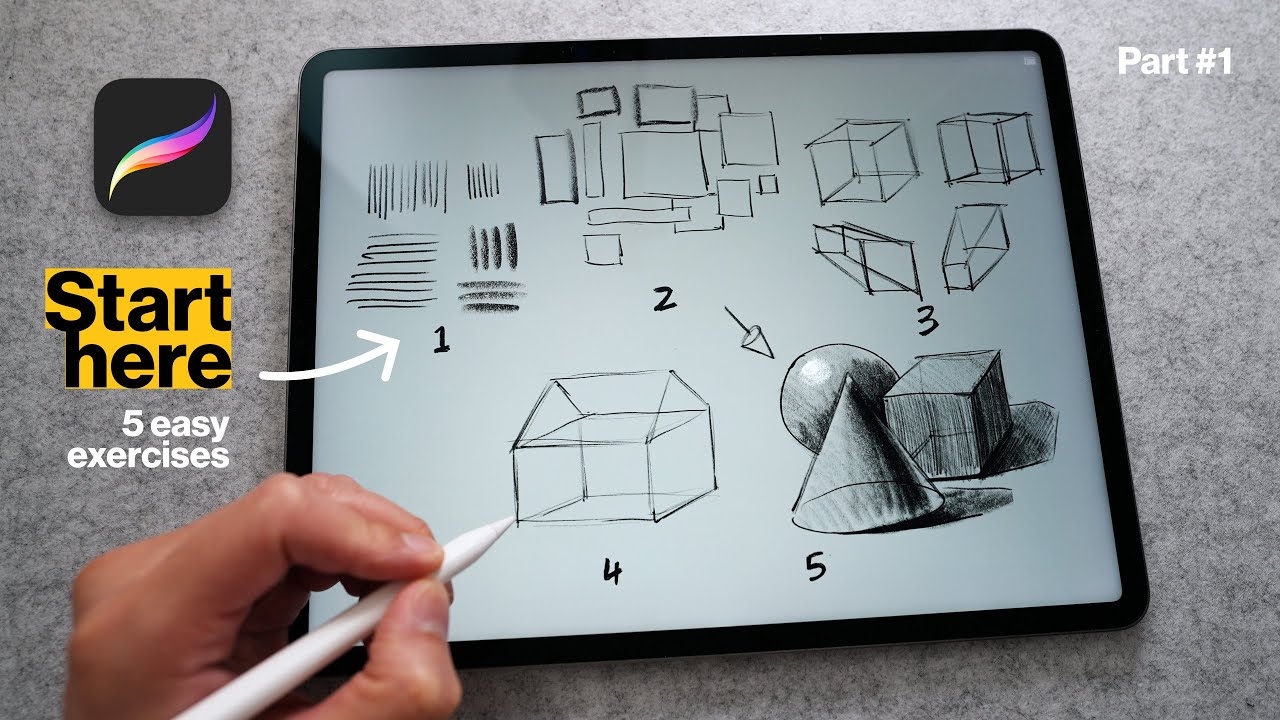 How to Start Drawing from Scratch - Learn to Draw in Procreate Part 1