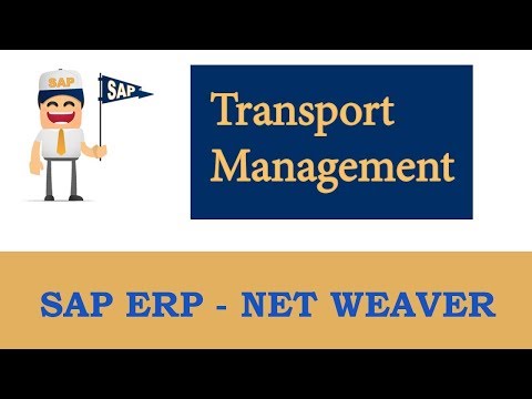Basic of Change and Transport System | Transport Management System | Part 3