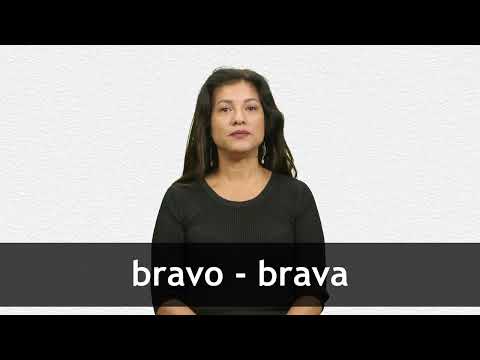 English Translation of “BRAVO” | Collins Spanish-English Dictionary