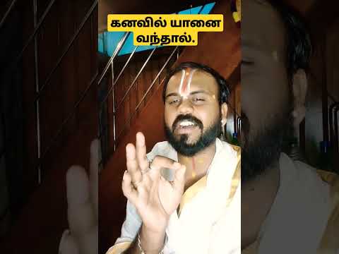 ✌️🎈ஒரு நிமிடம் கனவுகள் தலைப்பு... கனவில் யானை வந்தால் என்ன நடக்கும்.