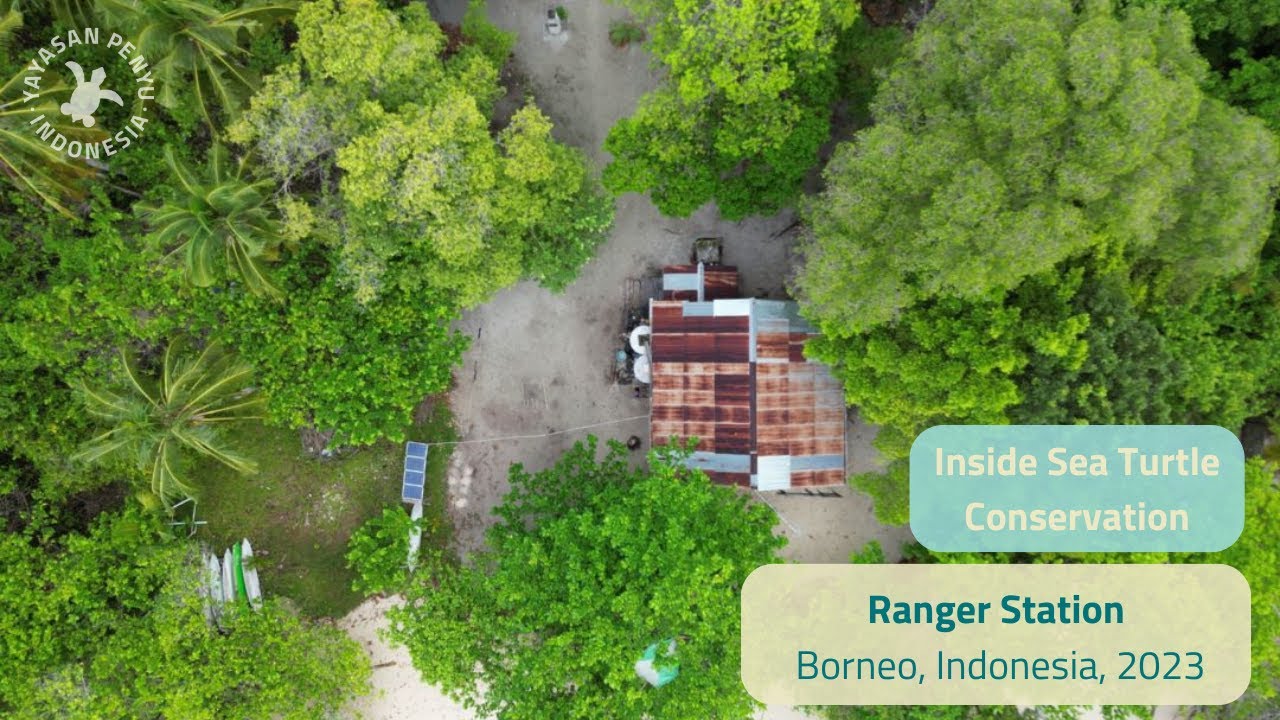 Insights into Ranger Station for Sea Turtle Conservation, East Kalimantan, Borneo, Indonesia