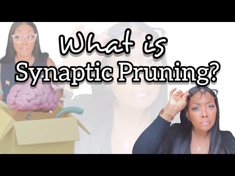 Synaptic Pruning, especially in relation to Autism || Psychology || My Therapy Room