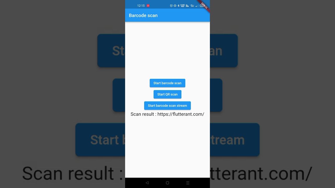 Barcode / QR Code Scanner in Flutter