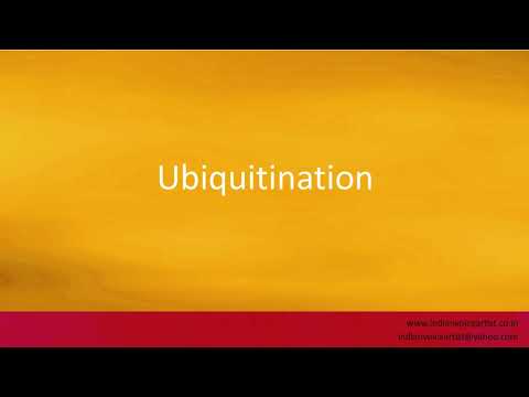 Pronunciation of the word(s) "Ubiquitination".