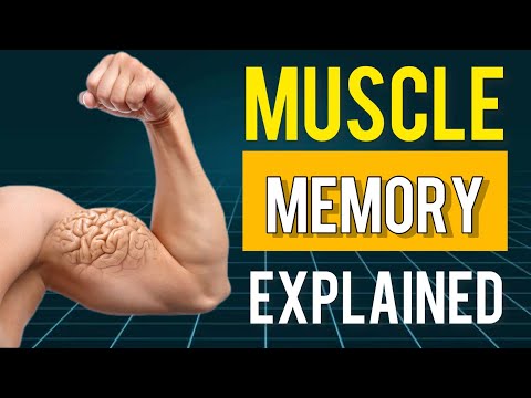 Muscle Memory : How Muscle Memory Works Explained (2023)