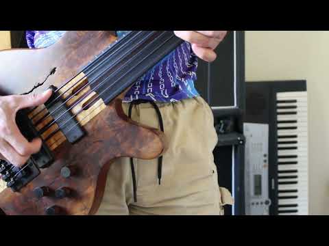 Bebensee Custom Fretless 6-String Bass | Reverb
