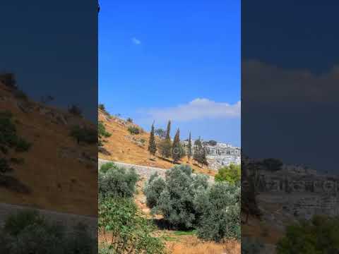 What is ZION anyways?