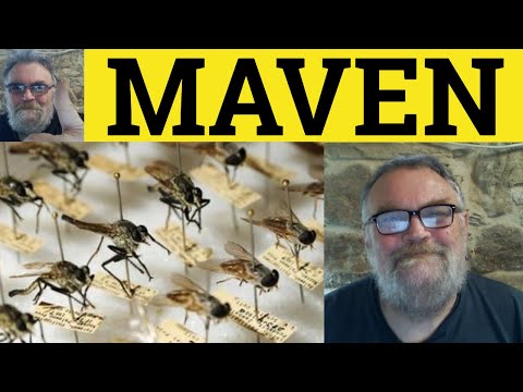 🔵 Maven Meaning - Maven Examples - Mavin Defined - Informal American English - Maven