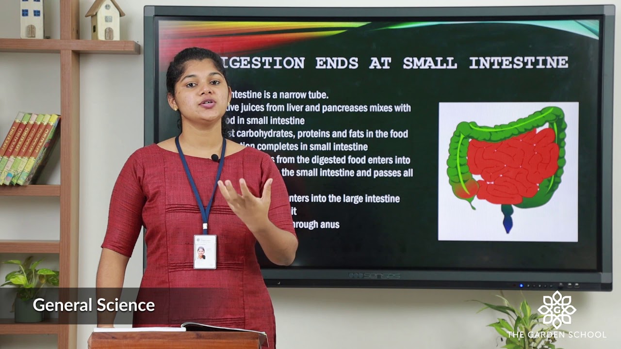 Grade 4 General Science Chapter 1 Class 4 Digestion