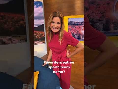 Our Meteorologists Weigh in on the Best Weather Sports Team Names #shorts