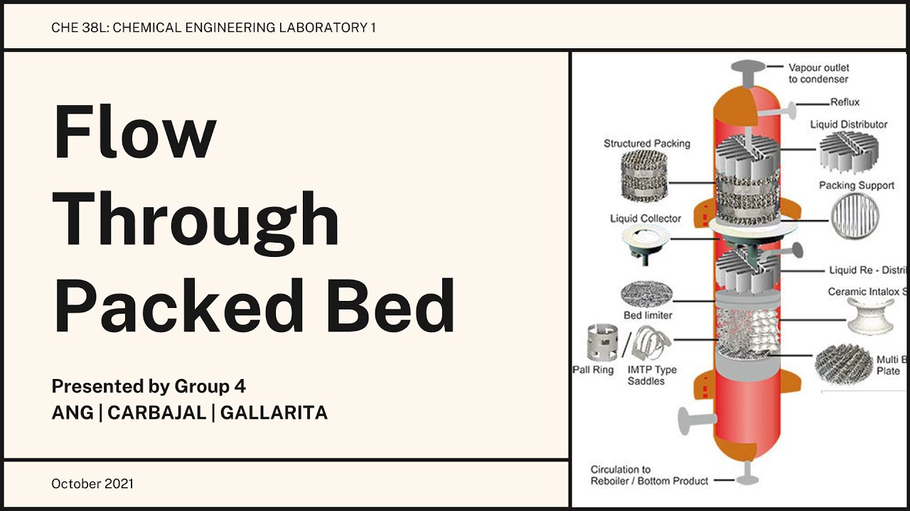 Activity 4 - Flow Through Packed Bed