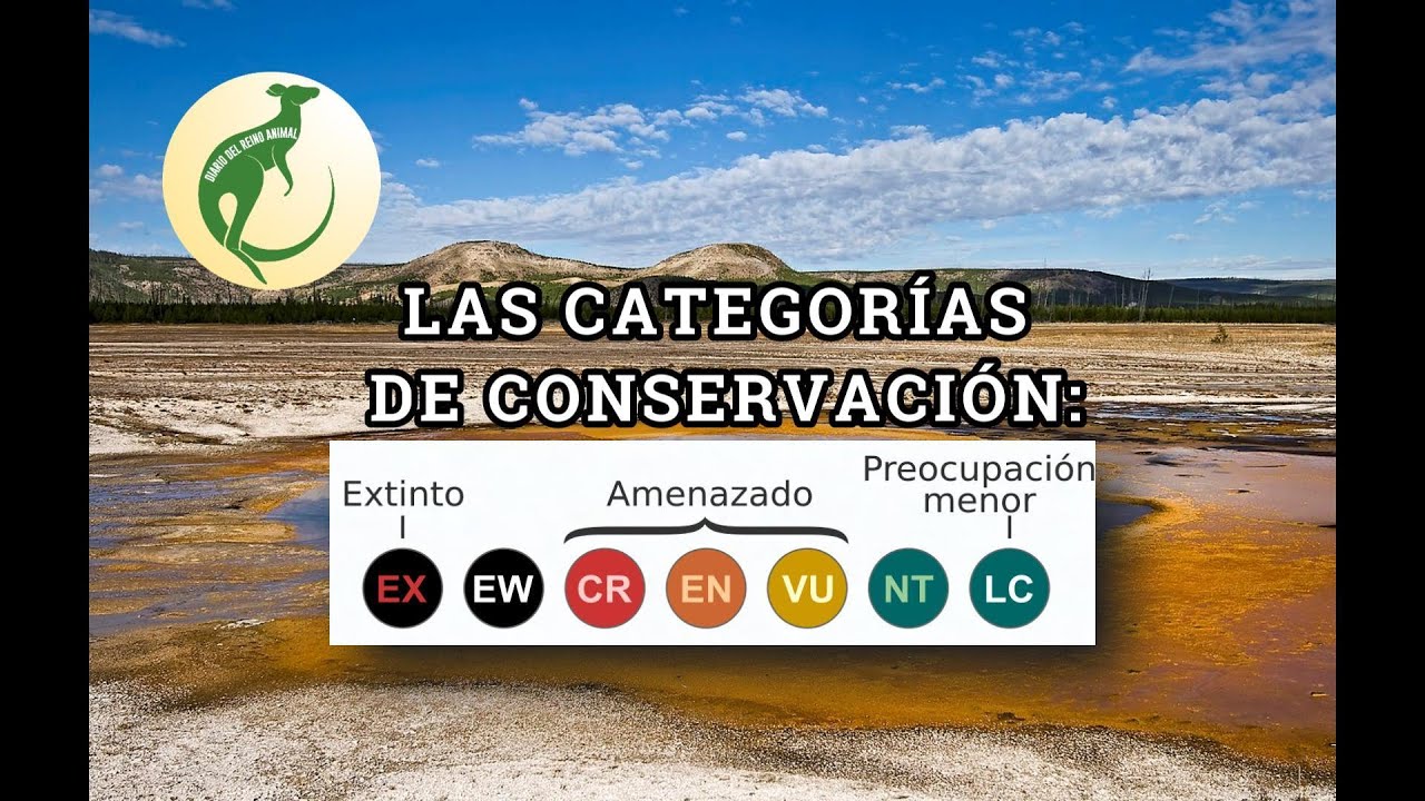 CONSERVATION: The IUCN Red List + CITES (With Fiona and Nico) #biology #animals #wildlife