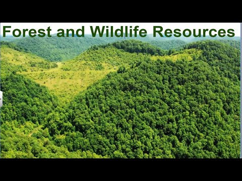 Forest and Wildlife Resources Video Lecture - Science for Super TET
