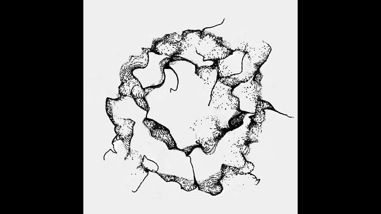 Vague Circles. #art #creativecoding #programming #openframeworks