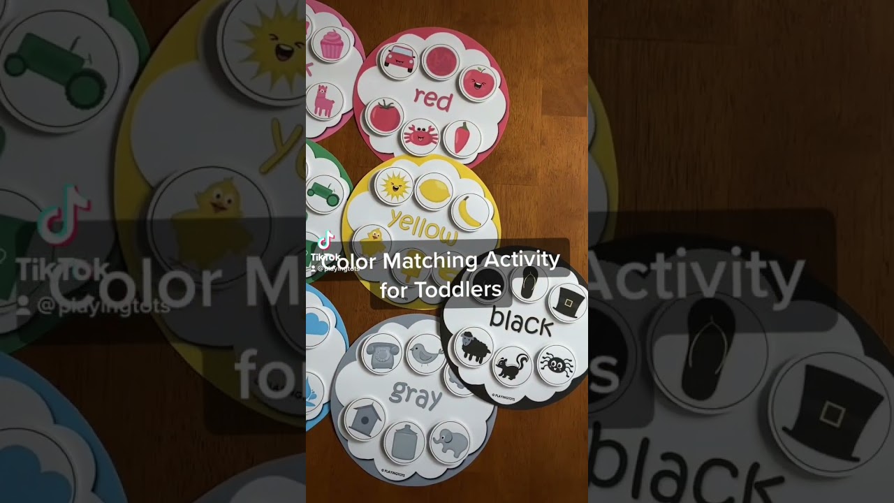 Colors Matching Activity, Fully Assembled, Learn the Colors, Color Sorting, Preschool Activity, PreK