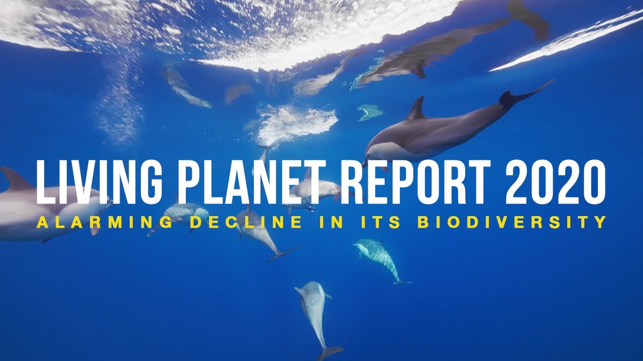 Living Planet Report 2020 WWF
