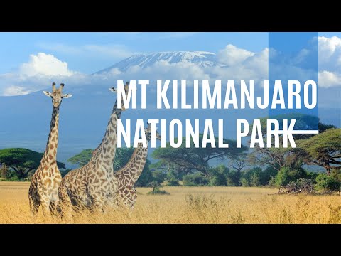 #trending MT. KILIMANJARO ALL YOU NEED TO KNOW