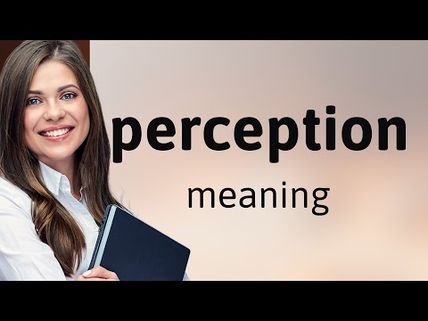 Perception — what is PERCEPTION definition