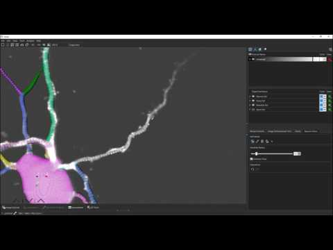 Aivia 5.1 - Dendrite Auto Center and Diameter