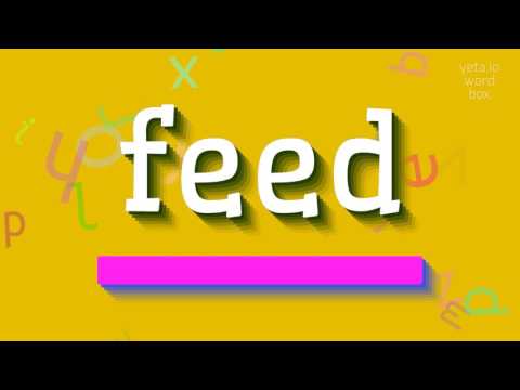 FEED - HOW TO SAY FEED?