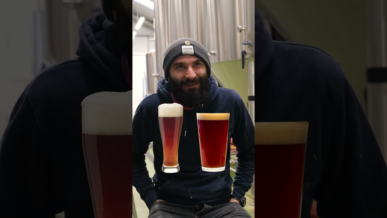 This or That: Beer Styles with a Brewer