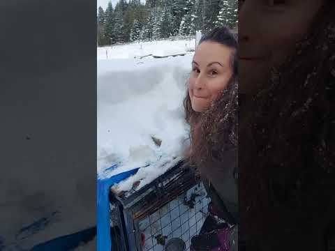 Letter S for SNOW