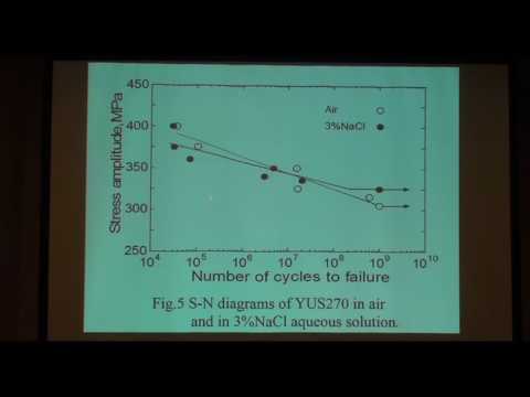 The influence of metallurgical factors on corrosion fatigue strength of stainless steels