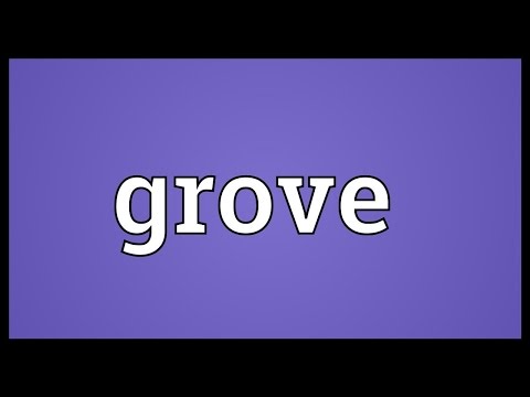 Grove Meaning